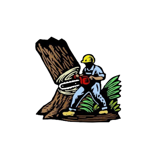 Jose Tree Service - Licensed Tree Service Company